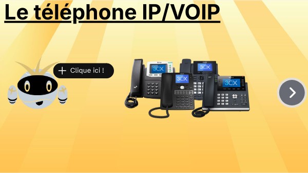 Téléphonie VoIP/IP