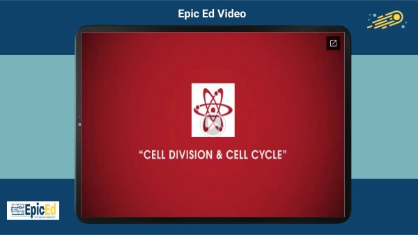 Bio A 4.2 Cell Cycle