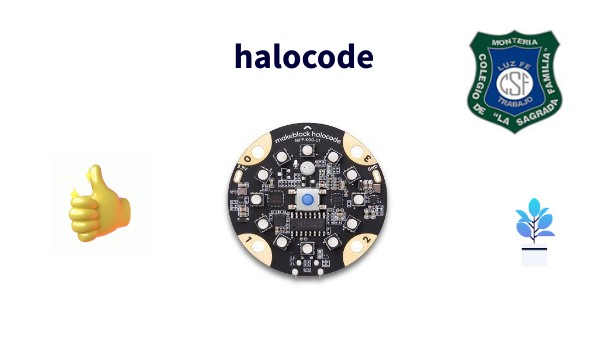 Presentación halocode | Genially