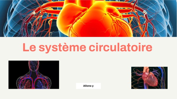 8- Le système circulatoire