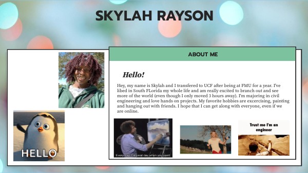 Introduction - skylah