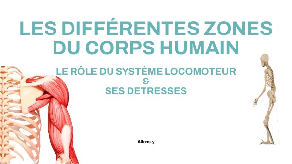 10- Le système locomoteur et ses détresses | Genially
