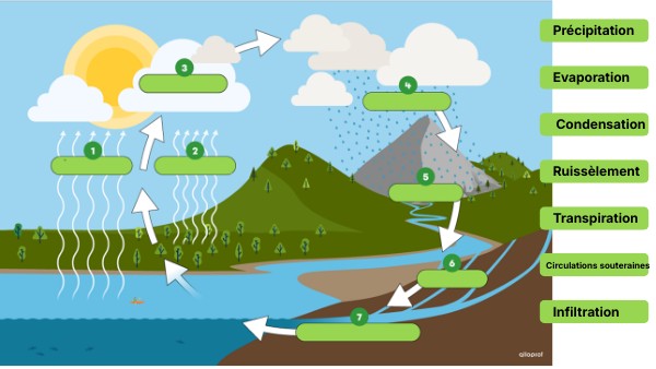 cycle de l'eau 5ème | Genially