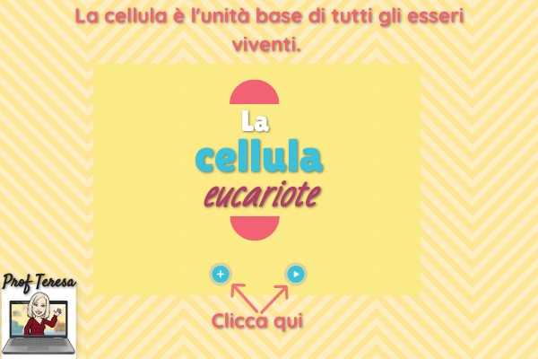 Cellula eucariote animale e vegetale | Genially