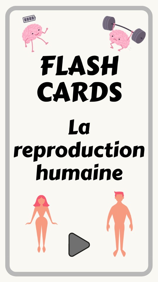 Flash cards Reproduction humaine