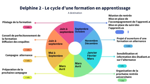 Delphine - Le cycle d’une formation en apprentissage