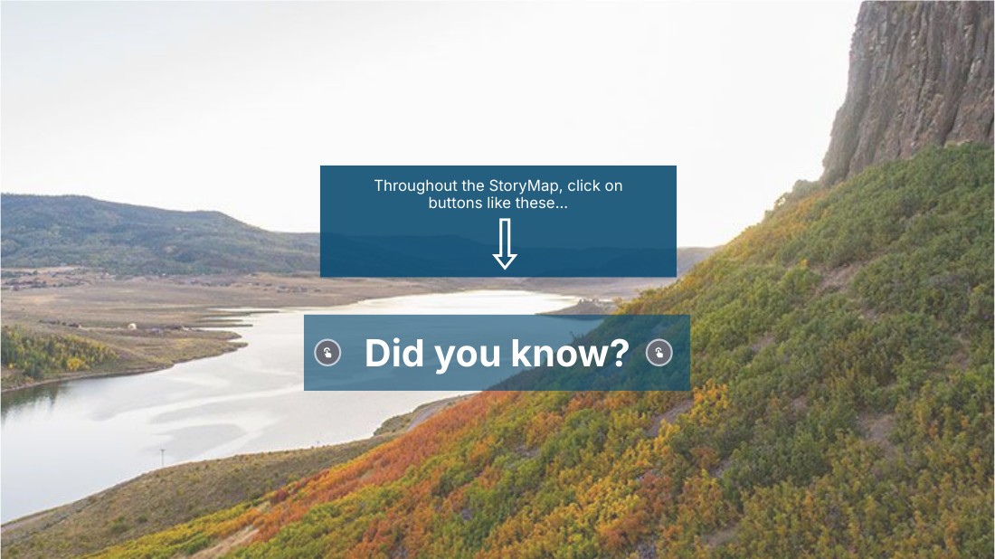 Tutorial "Did you know?"