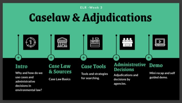 ELR Week 3 Adjudications & Cases | Genially