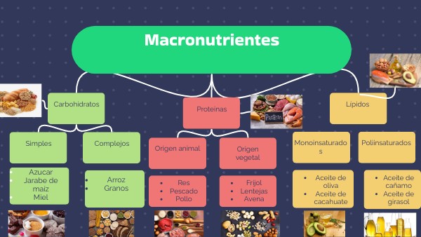 Mapa Mental esquema Vertical | Genially