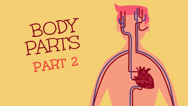 Body Parts, Part 2