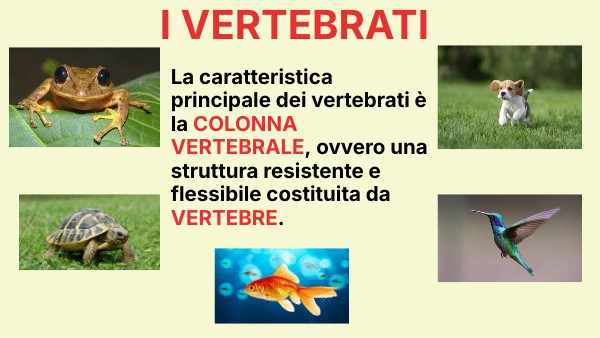 Copia - I VERTEBRATI