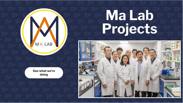 Ma Lab Projects