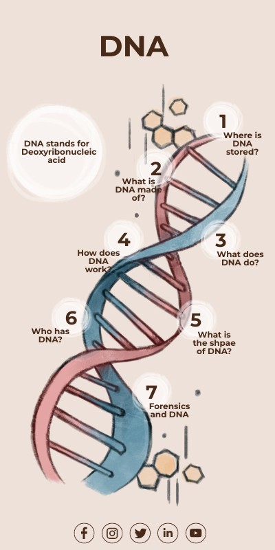 DNA INFO GRAPHIC | Genially