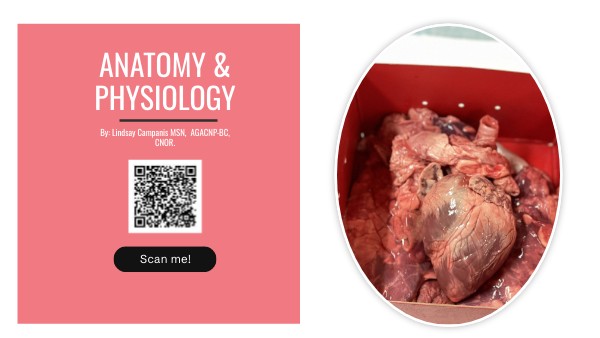 Corporate Signature Learning Unit