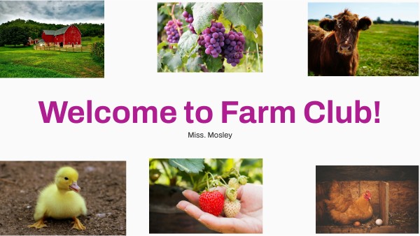 Welcome to Farm Club