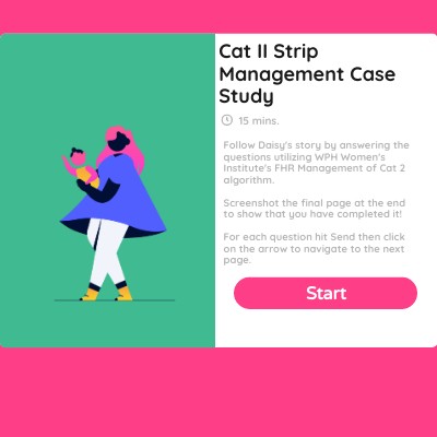 Cat II Strip Case Study | Genially