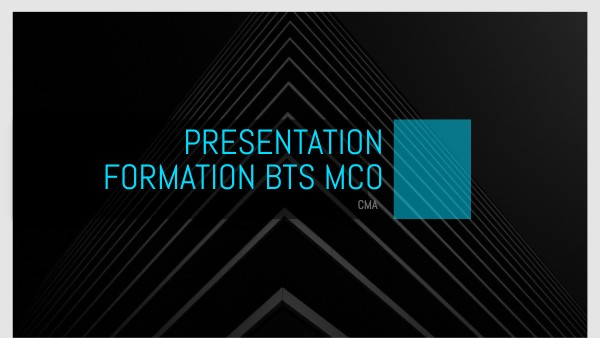 Présentation BTS MCO