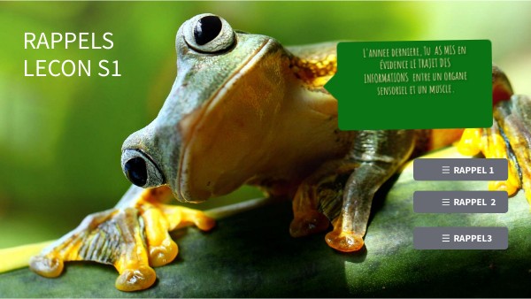 2024 rappel 5ème | Genially