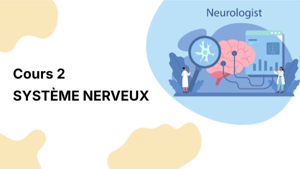 Cours 2 - Système nerveux | Genially