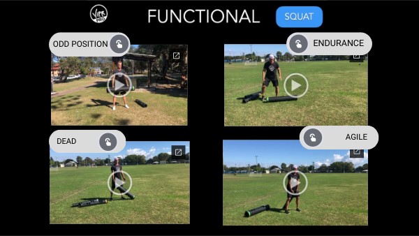 ViPR Functional Squat