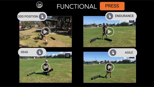ViPR Functional Press | Genially