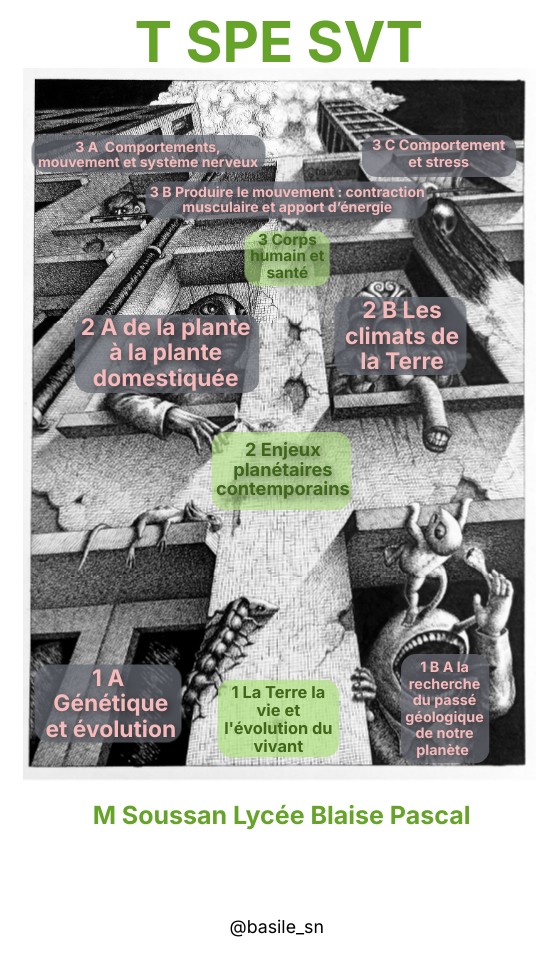 T SPE SVT Soussan