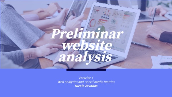 Exercise 1 - Preliminar website analysis