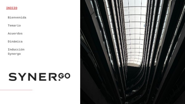 INDUCCIÓN SYNERGO