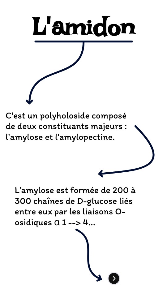 L'amidon (structure, rôle, propriété) | Genially
