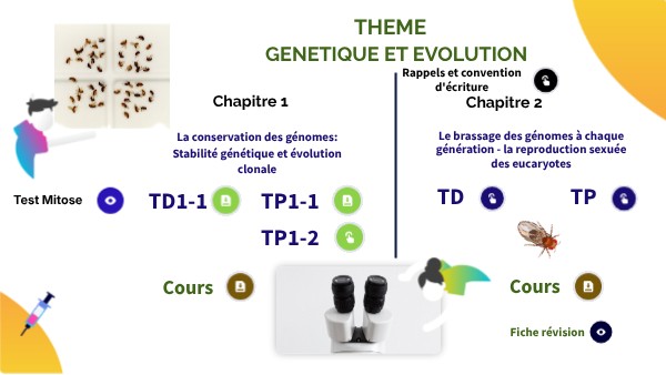 GENETIQUE et EVOLUTION 2024-2025 | Genially