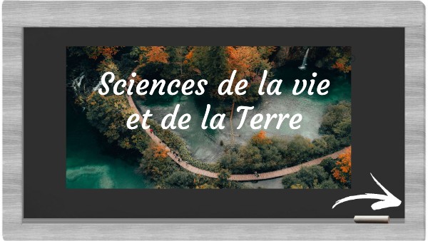 Seconde SVT Ressources Learning apps | Genially