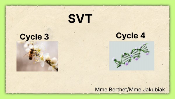 Présentation règles | Genially