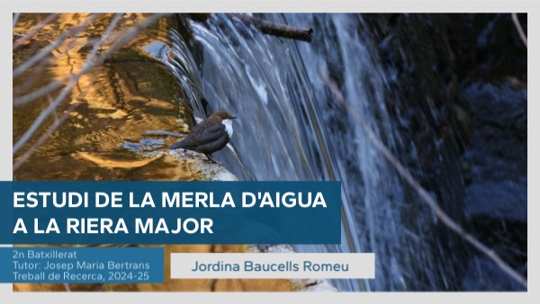 Presentació TR_escola | Genially