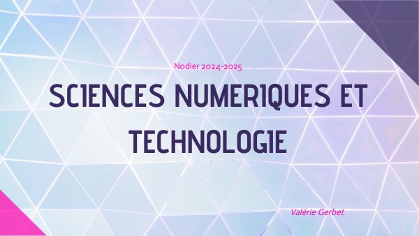 Copie - SNT Données 24-25 | Genially