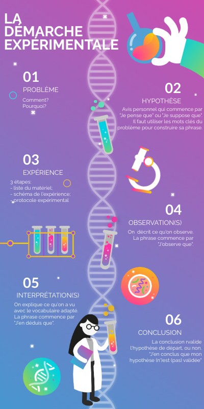 Démarche expérimentale