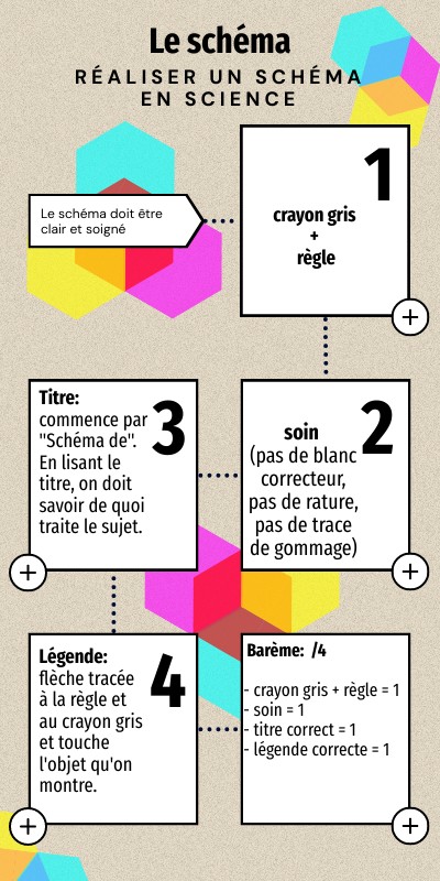 Le schéma en Science