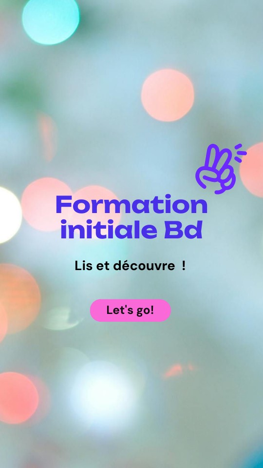 FORMATION INITIALE BD