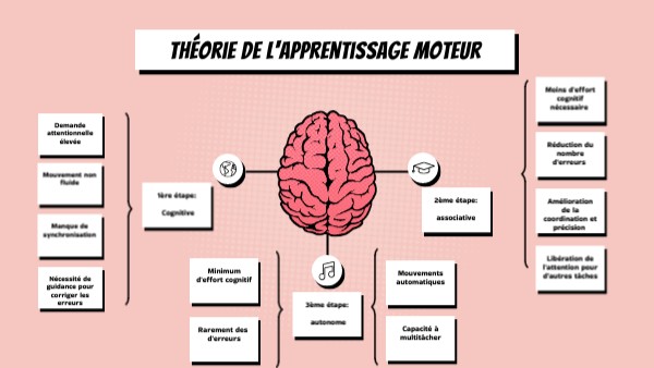 Carte mentale cerveau