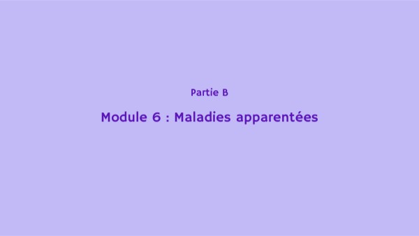 PARTIE B - MODULE 6