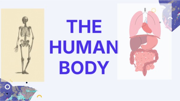 UD 1 Human body