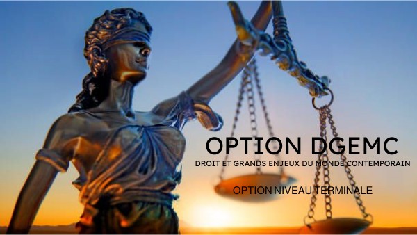 OPTION DGEMC | Genially