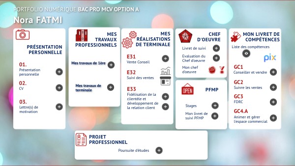Portfolio - Bac pro MCV | Genially