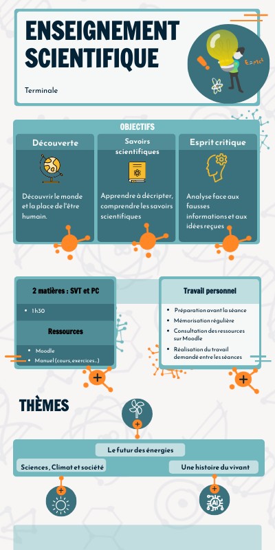 Présentation programme Terminales ES | Genially