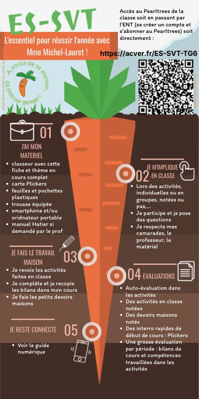 Tle ES TG5 SVT l'essentiel v2024 | Genially