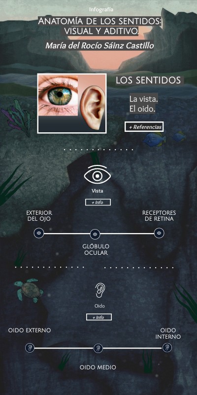 Infografía Anatomía de los sistemas visual y auditivo | Genially