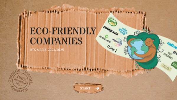 BTS-Eco friendly companies | Genially
