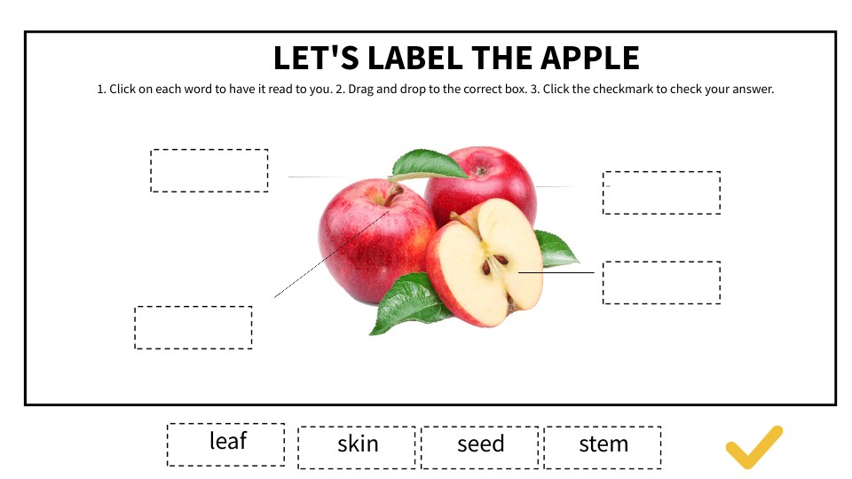 Apple Labeling Worksheet in Red Green Realistic Style.pptx