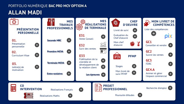 Portfolio - Bac pro MCV