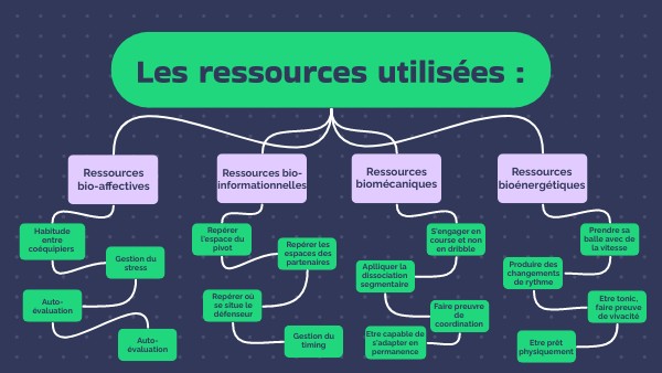 Carte mentale schéma vertical | Genially