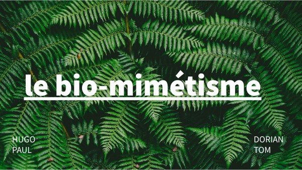 bio mimétisme